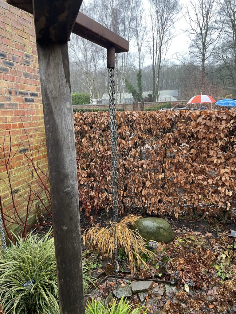 Getting help from the experts when it comes to plant selection for SuDS ...