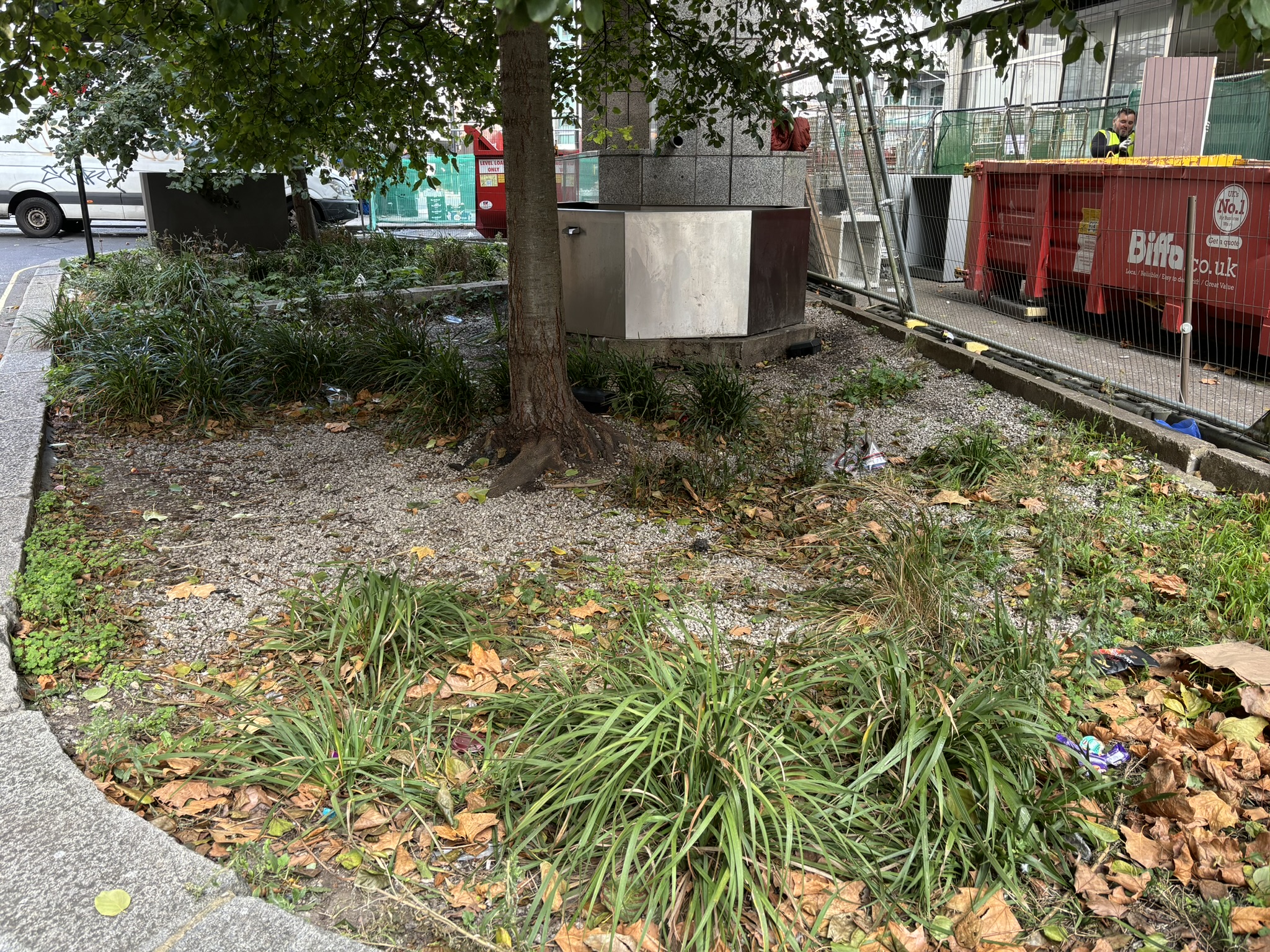 Rats in SuDS – do you love them or hate them? – Stormwater Shepherds